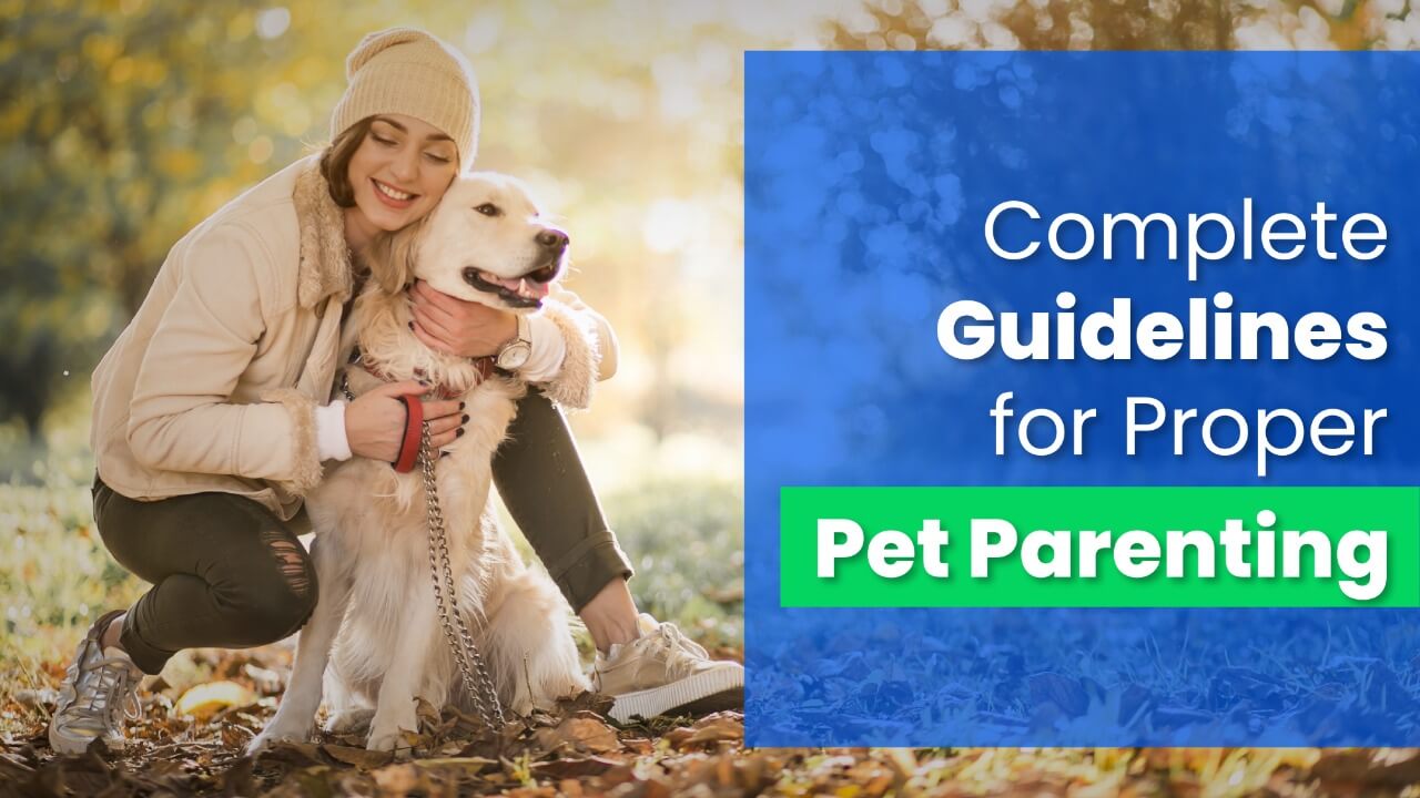 Comprehensive guidelines and tips for pet parenting